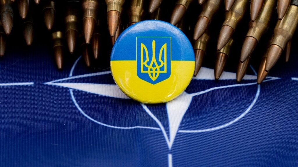 ‘No violence or intimidation’ can block Ukraine’s NATO path - Frontline ...
