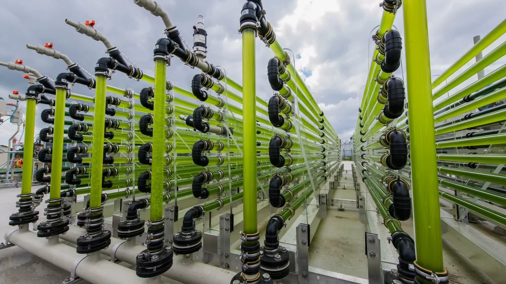A new tool for tracking algae research in the EU - Frontline Press
