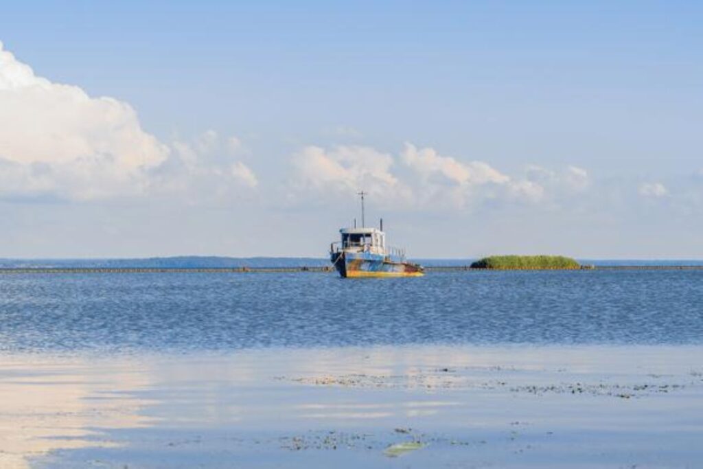 Commission proposes fishing opportunities for 2026 in the Baltic Sea ...